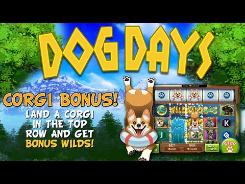 Casino World - Dog Days Slots - WildTangent Games